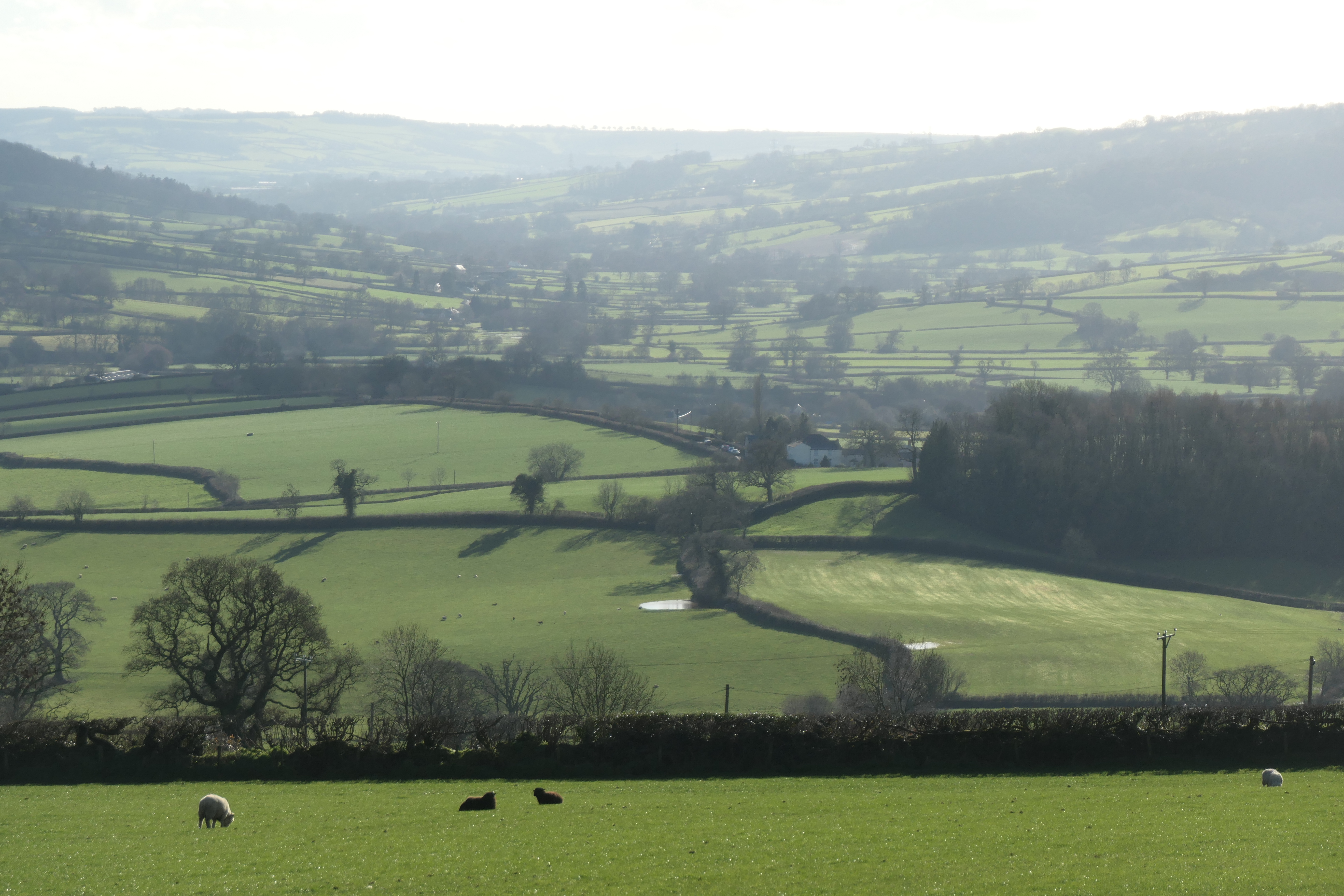 Walks in the Blackdown Hills – Ley Farm Cottages